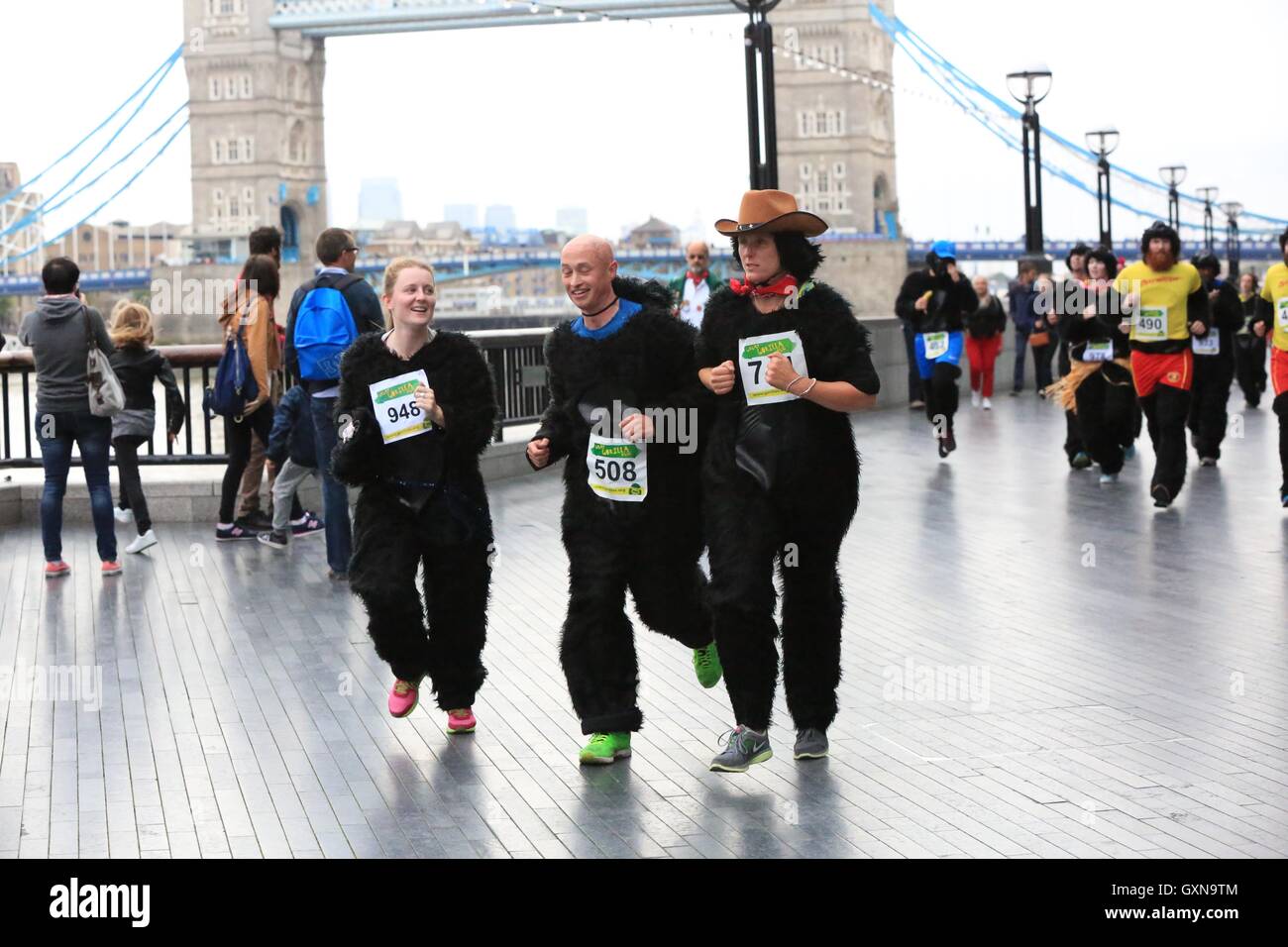 The Great Gorilla Run now in its 14th year, is a charity fun run that ...