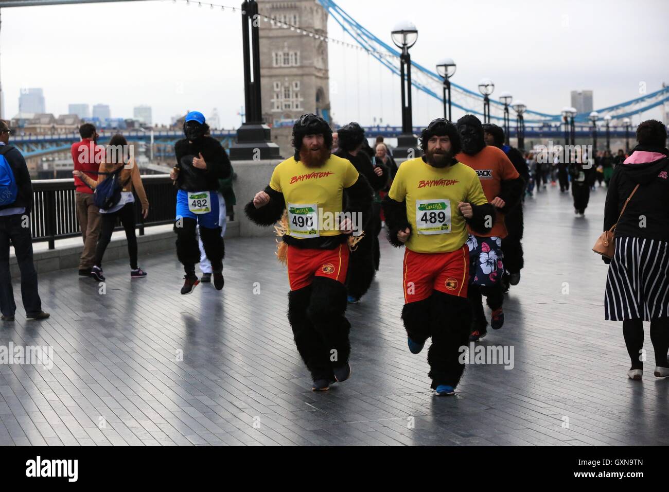 The Great Gorilla Run now in its 14th year, is a charity fun run that ...