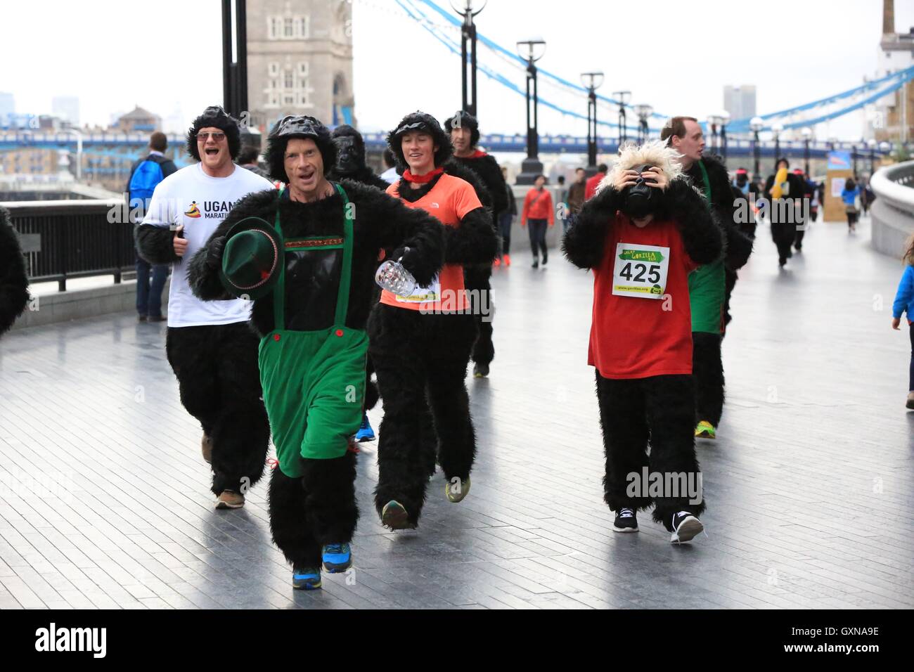 The Great Gorilla Run now in its 14th year, is a charity fun run that ...