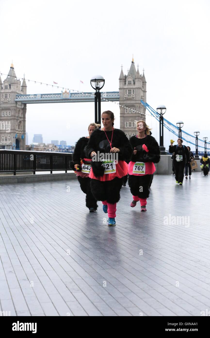 The Great Gorilla Run now in its 14th year, is a charity fun run that ...