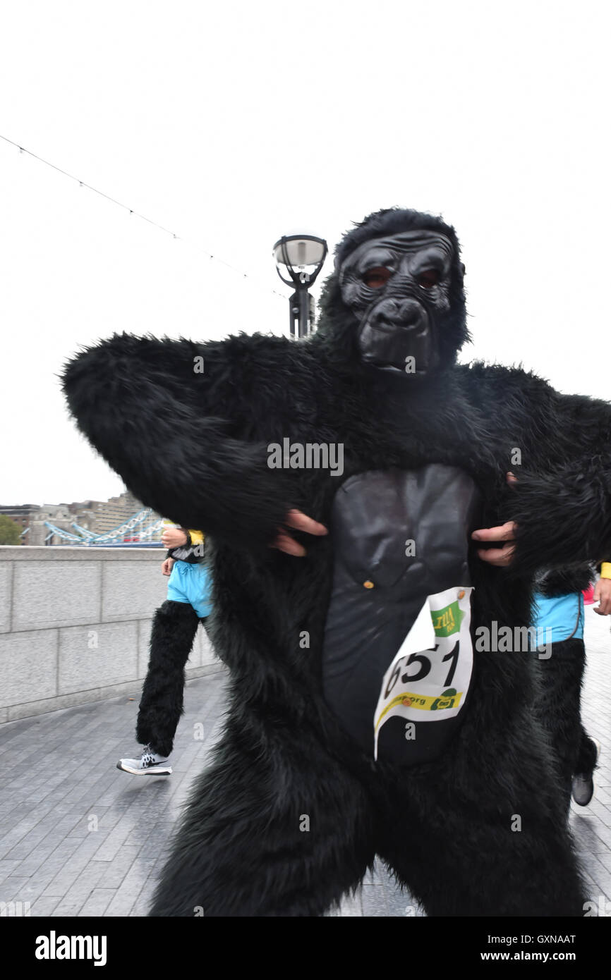 Tower Bridge, London, UK. 17th September 2016. The Great Gorilla Run ...