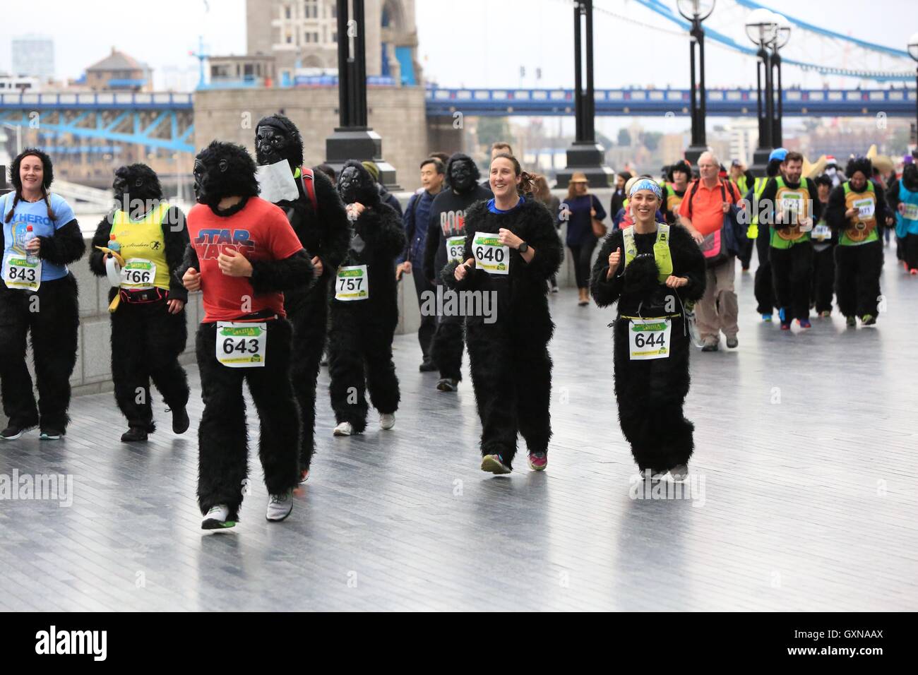 The Great Gorilla Run now in its 14th year, is a charity fun run that ...