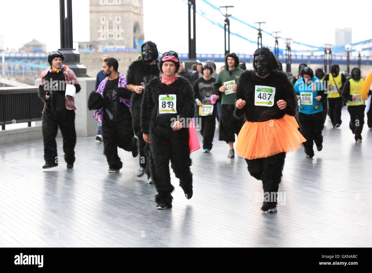 The Great Gorilla Run now in its 14th year, is a charity fun run that ...