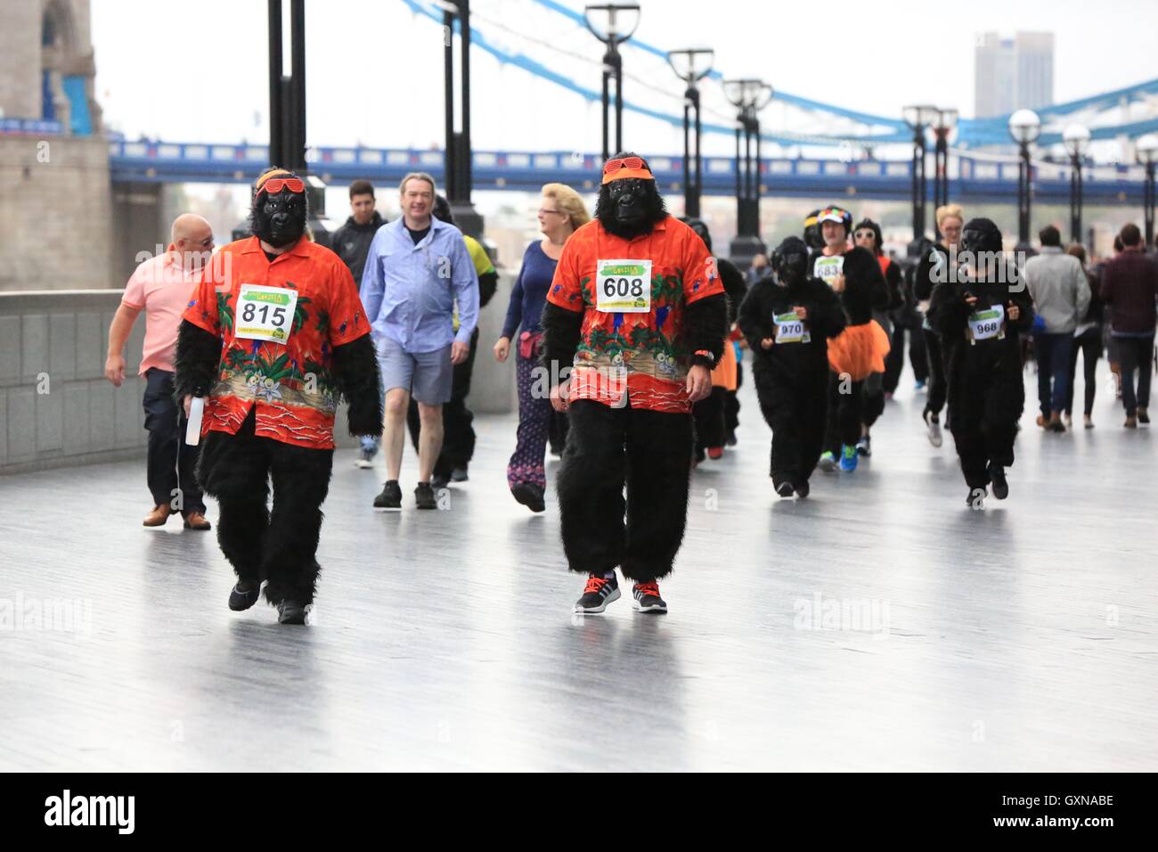 The Great Gorilla Run now in its 14th year, is a charity fun run that ...