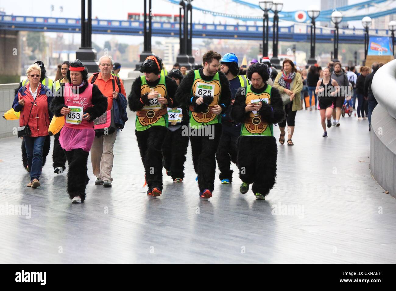 The Great Gorilla Run now in its 14th year, is a charity fun run that ...