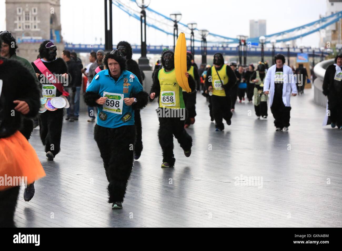 The Great Gorilla Run now in its 14th year, is a charity fun run that ...