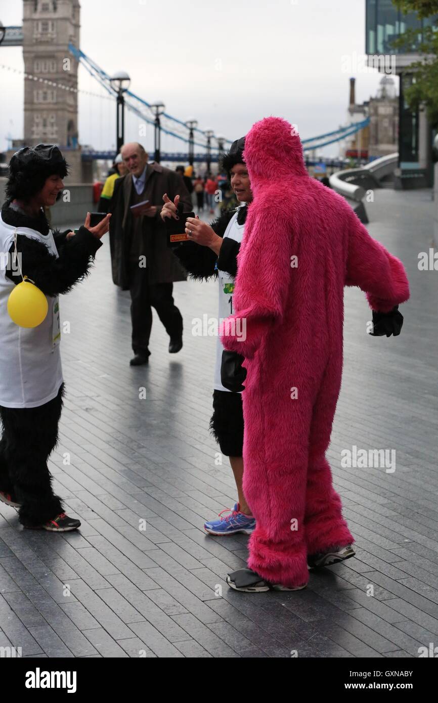 The Great Gorilla Run now in its 14th year, is a charity fun run that ...