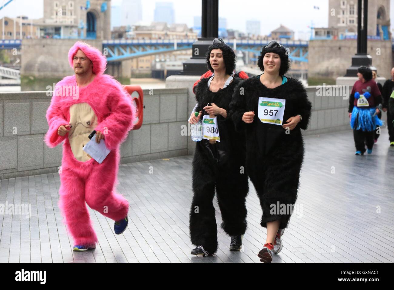 The Great Gorilla Run now in its 14th year, is a charity fun run that ...