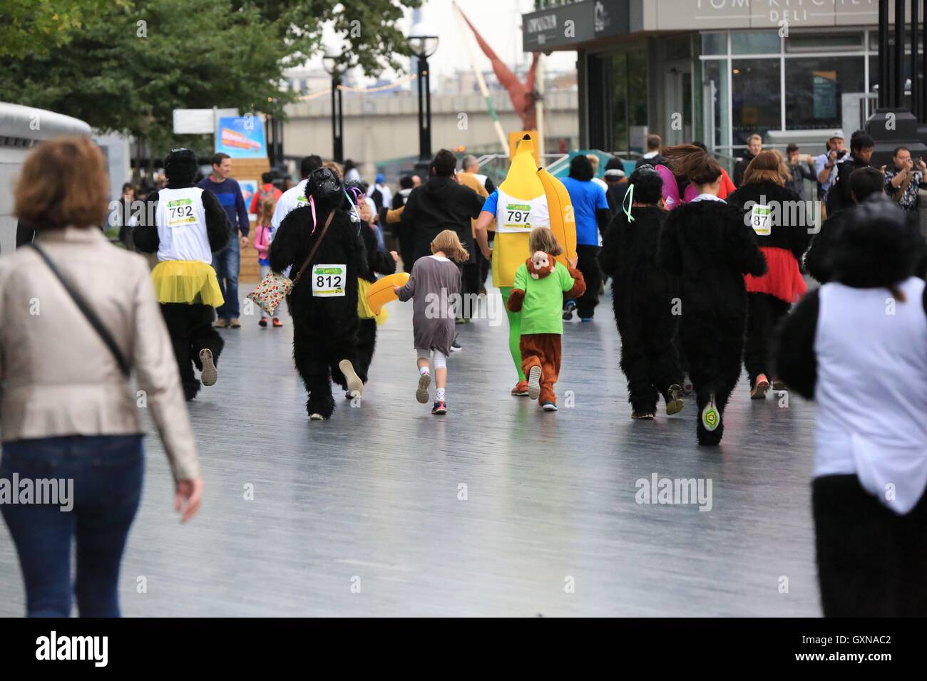 The Great Gorilla Run now in its 14th year, is a charity fun run that ...