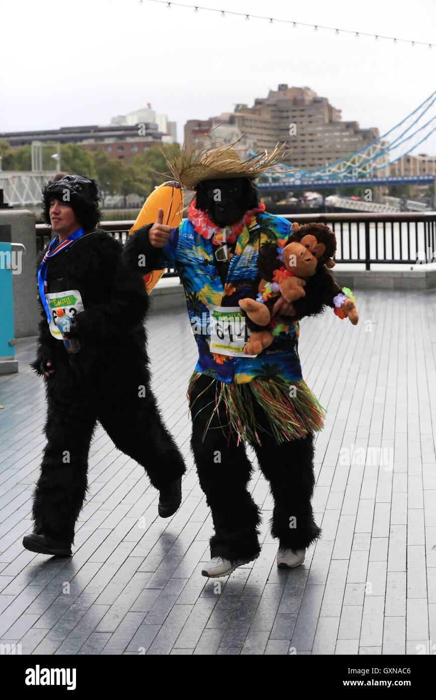 The Great Gorilla Run now in its 14th year, is a charity fun run that ...