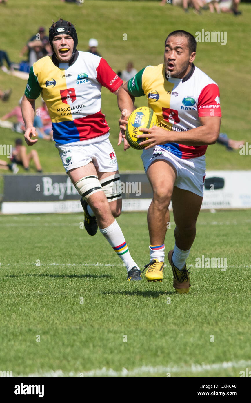 Sydney, Australia - 17th September 2016: Sydney Rays vs NSW Country ...