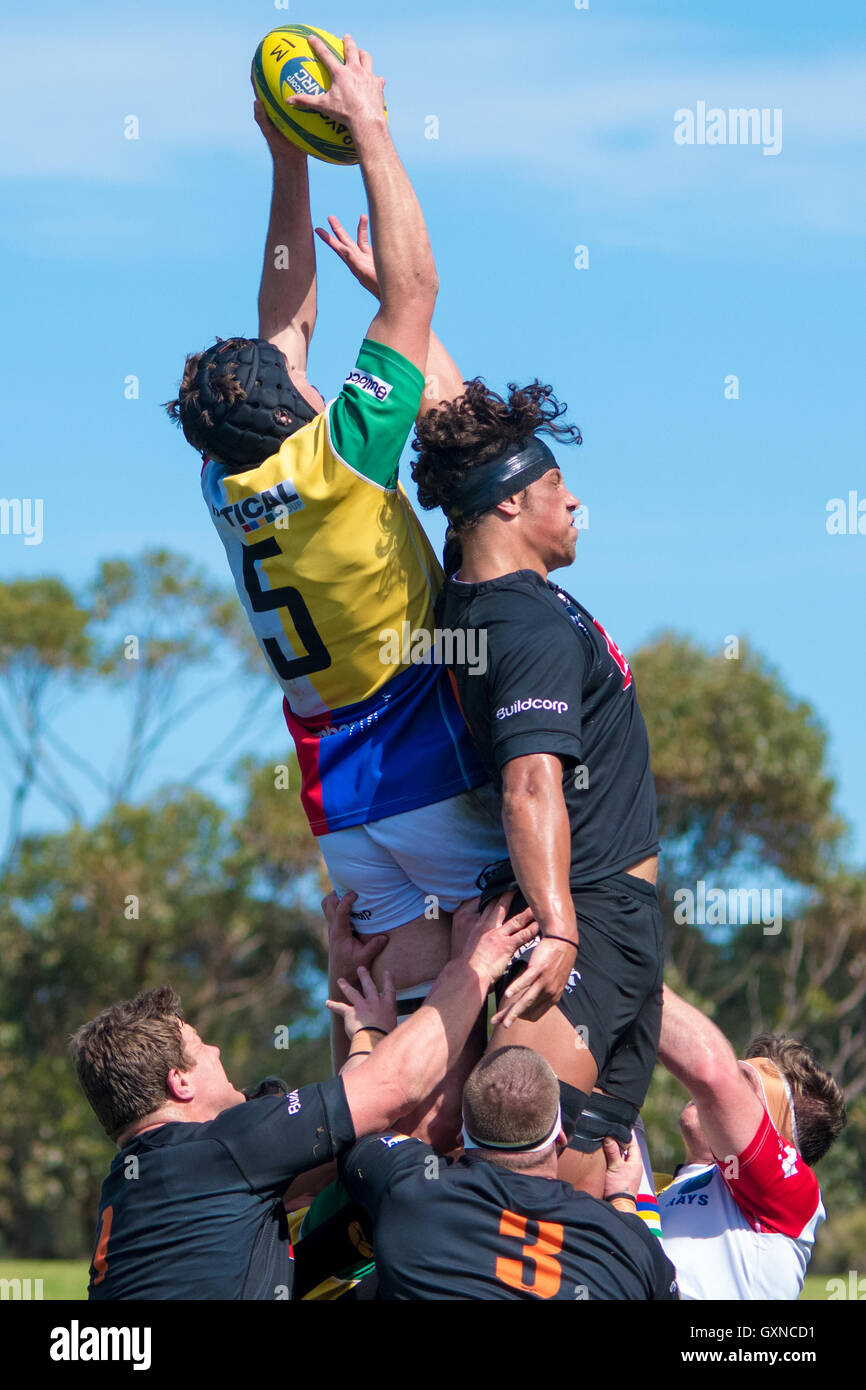Sydney, Australia - 17th September 2016: Sydney Rays vs NSW Country ...