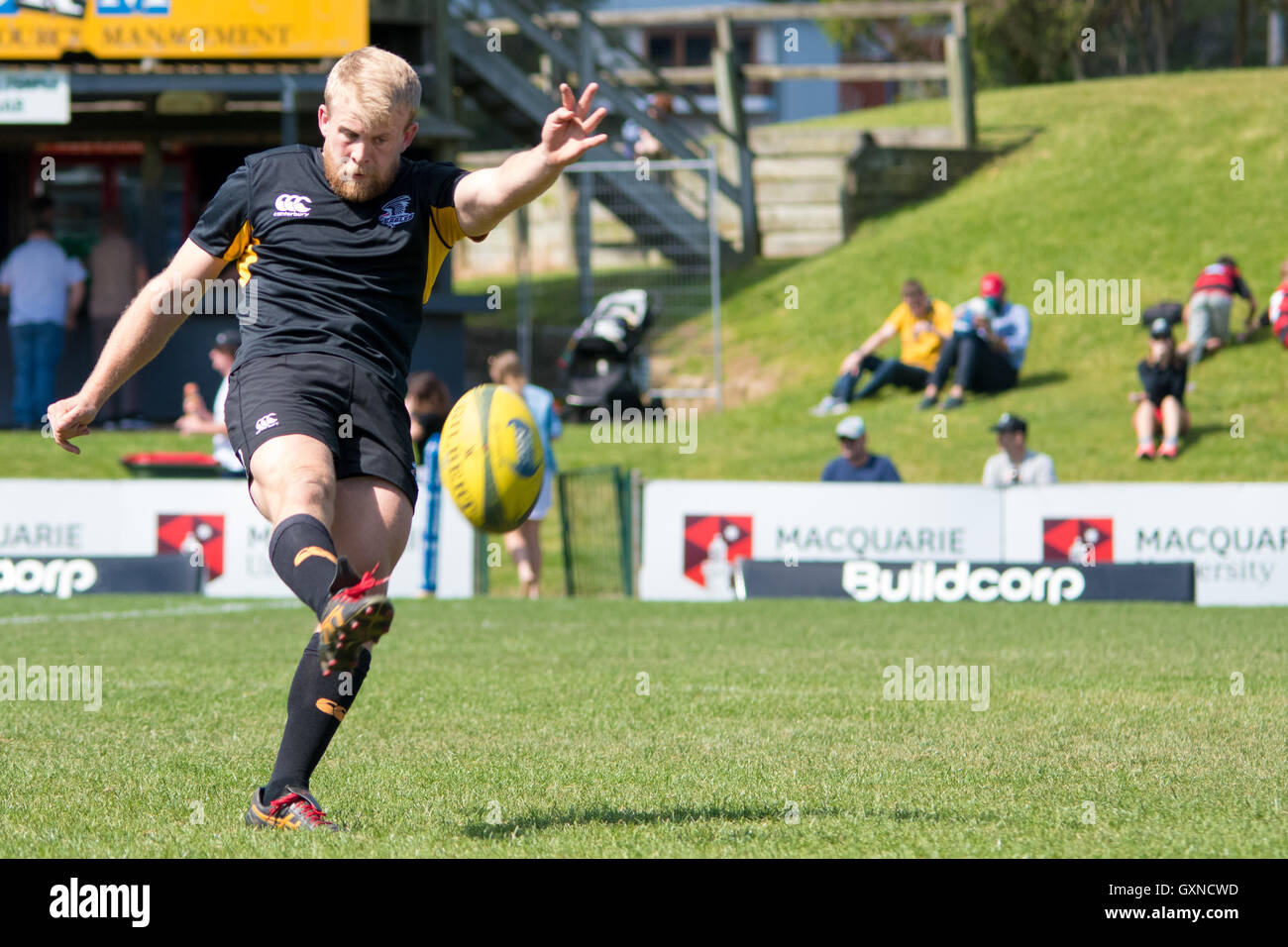 Sydney, Australia - 17th September 2016: Sydney Rays vs NSW Country ...