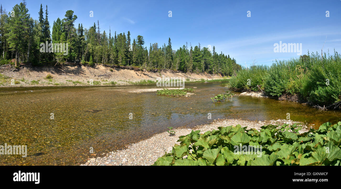 The object of UNESCO world heritage site Virgin Komi forests. Panorama ...