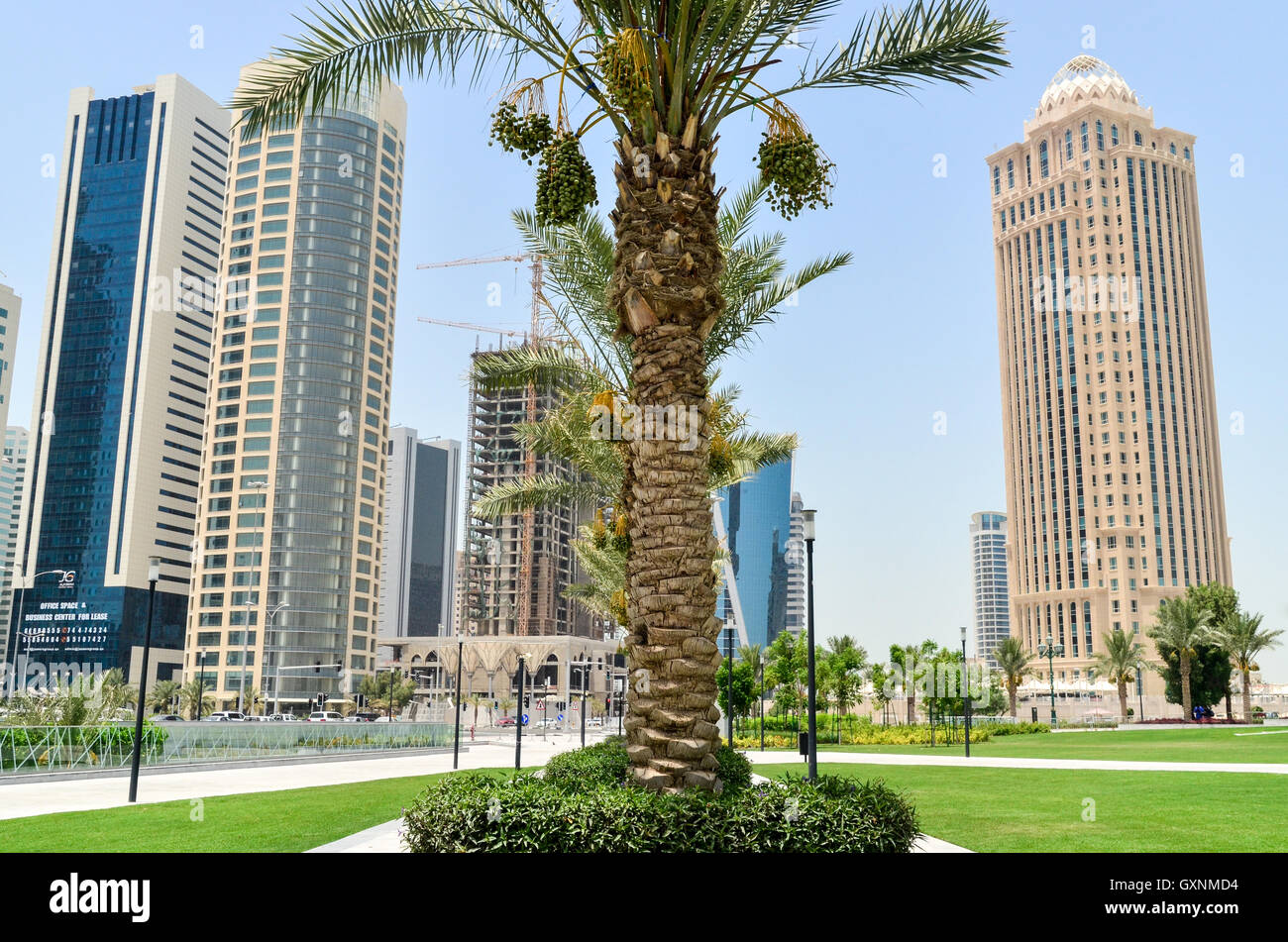 Palm tree doha qatar hi-res stock photography and images - Alamy