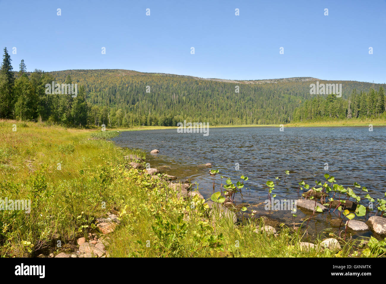 River summer landscape. Northern Urals, the national Park "Yugyd VA ...