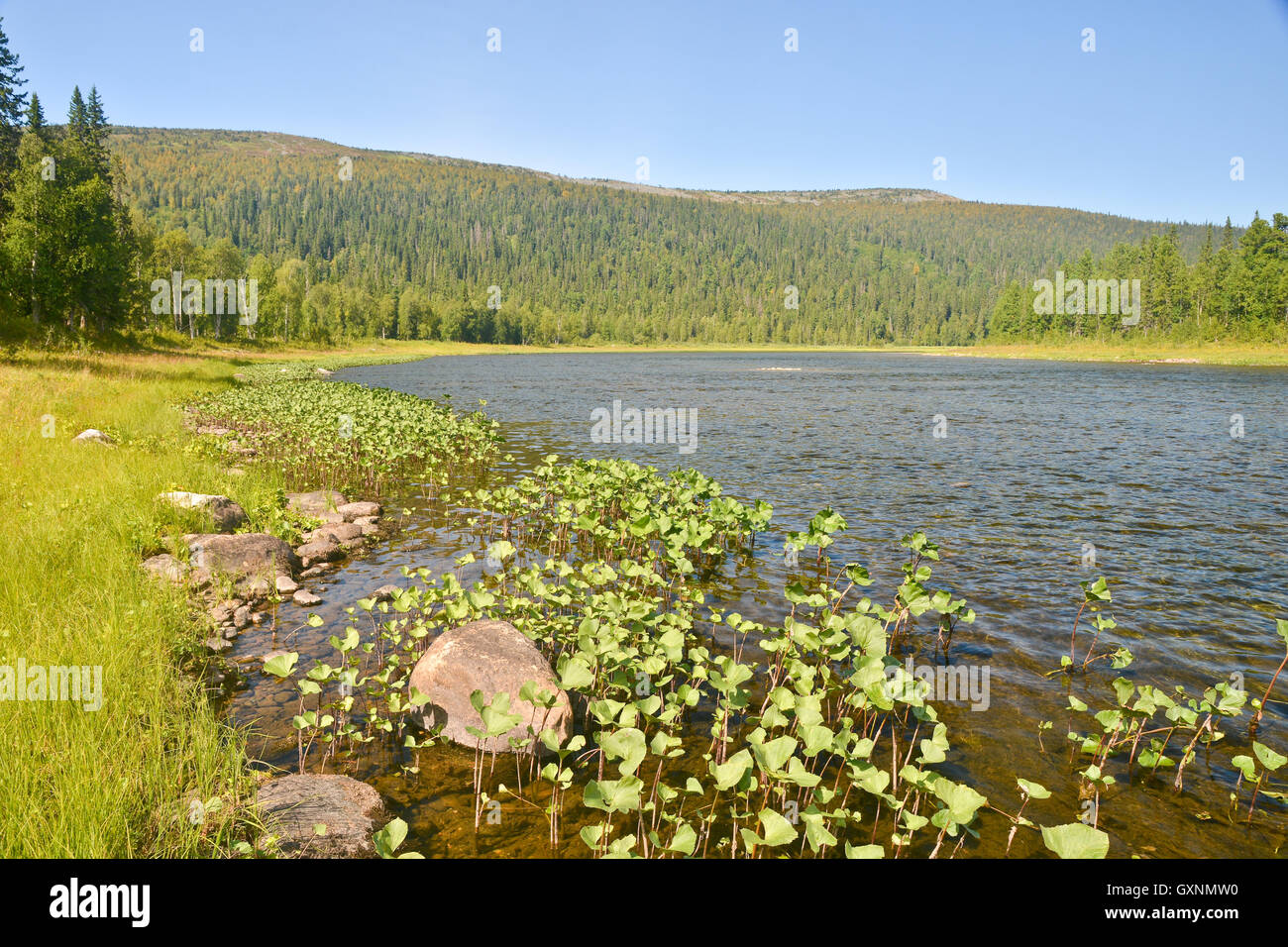 Clean the North river. Northern Urals, the national Park "Yugyd VA ...