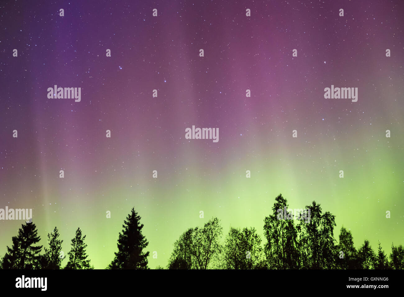 Colorful Northern lights (Aurora borealis) in the sky Stock Photo - Alamy