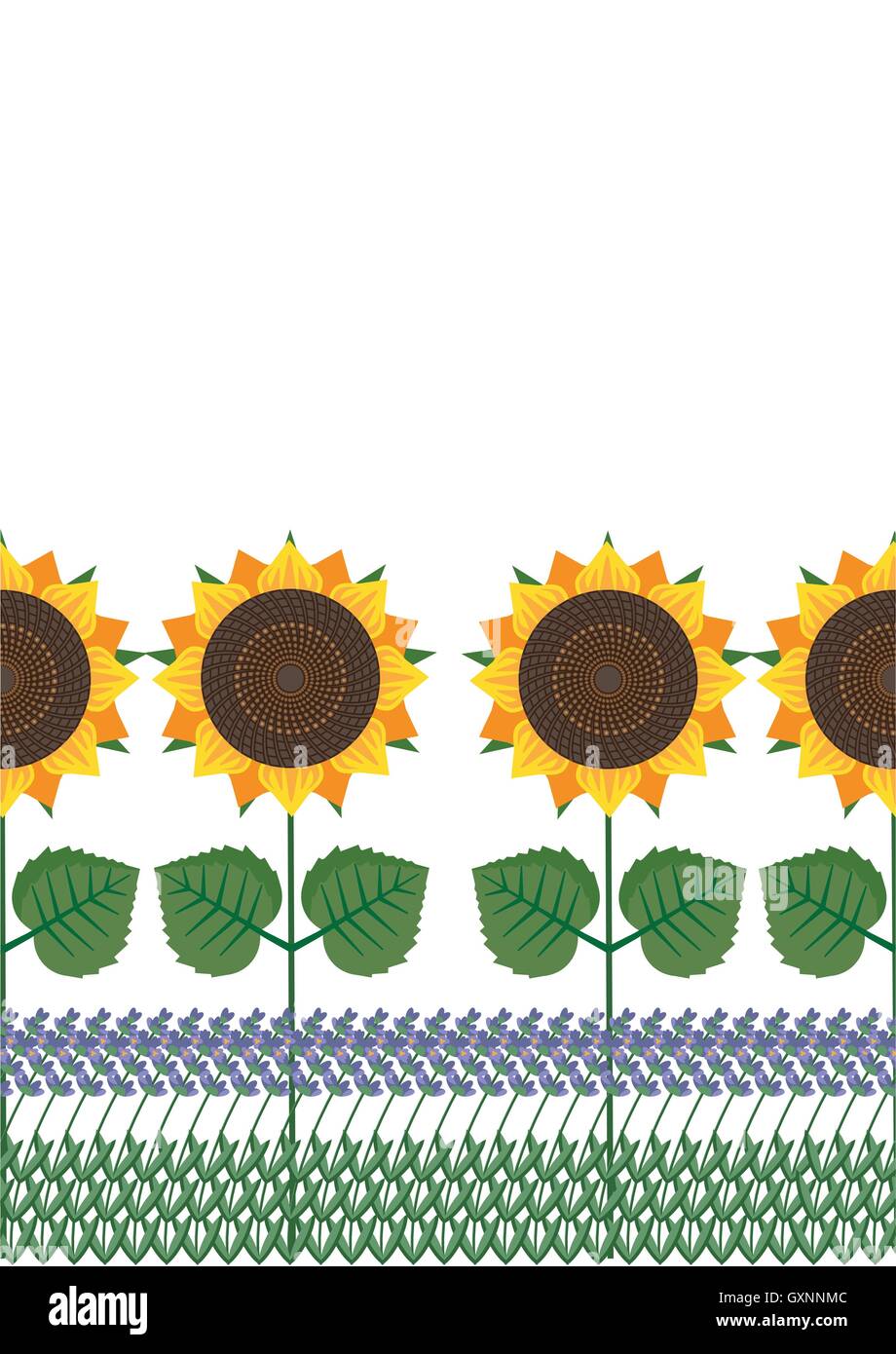 Sunflower Vectors High Resolution Stock Photography and Images - Alamy
