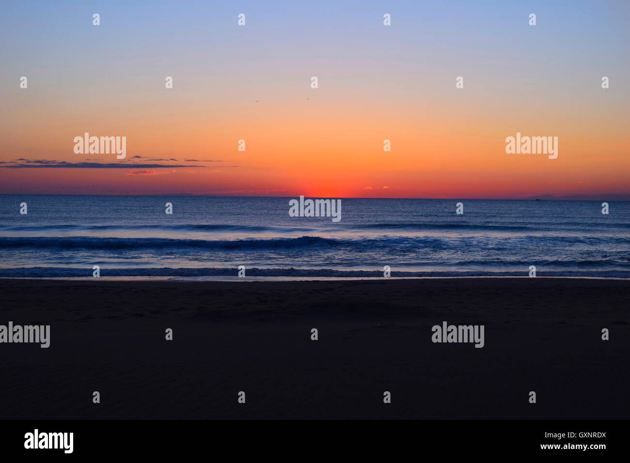 Wee too beach hi-res stock photography and images - Alamy