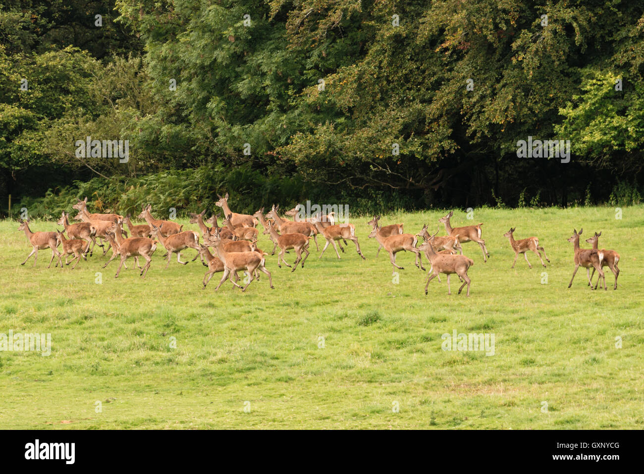 Draydon hi-res stock photography and images - Alamy