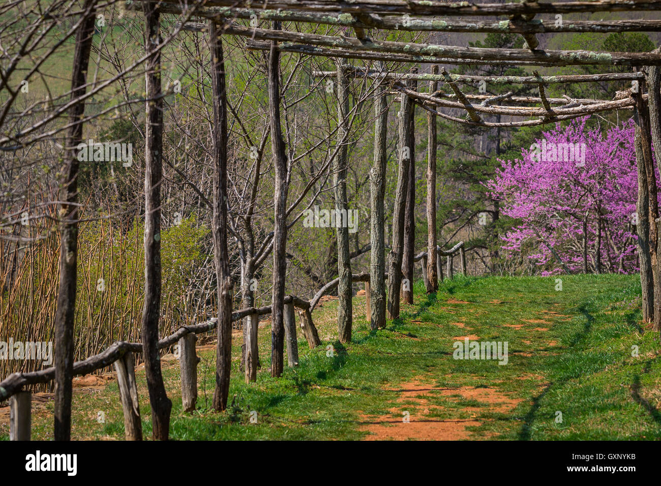 Log trellis Monticello garden Stock Photo - Alamy