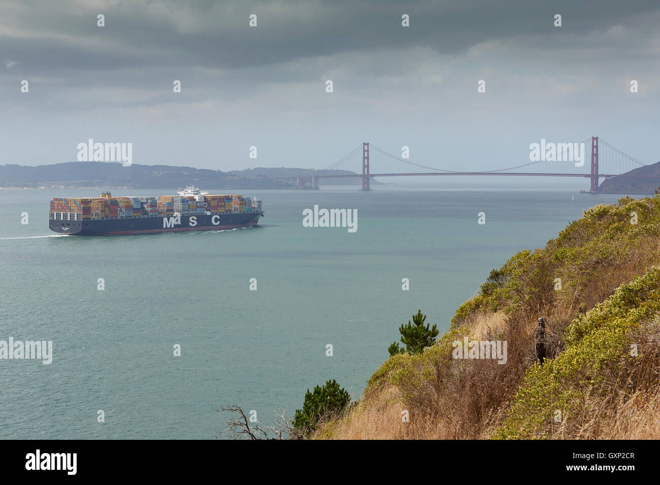 Mediterranean Shipping Company Container Ship, MSC Ariane, Approaches ...