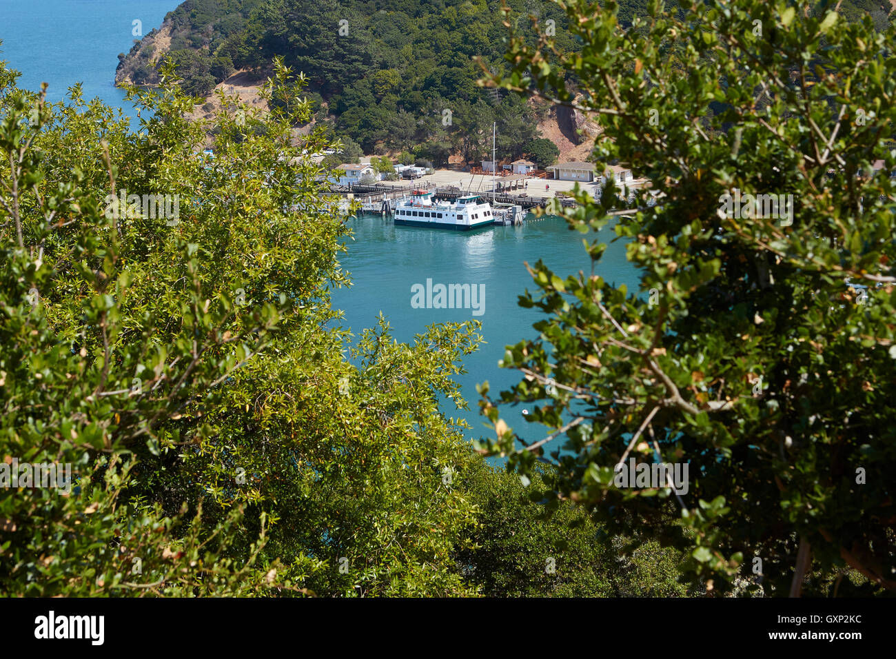 Tiburon island hi-res stock photography and images - Alamy