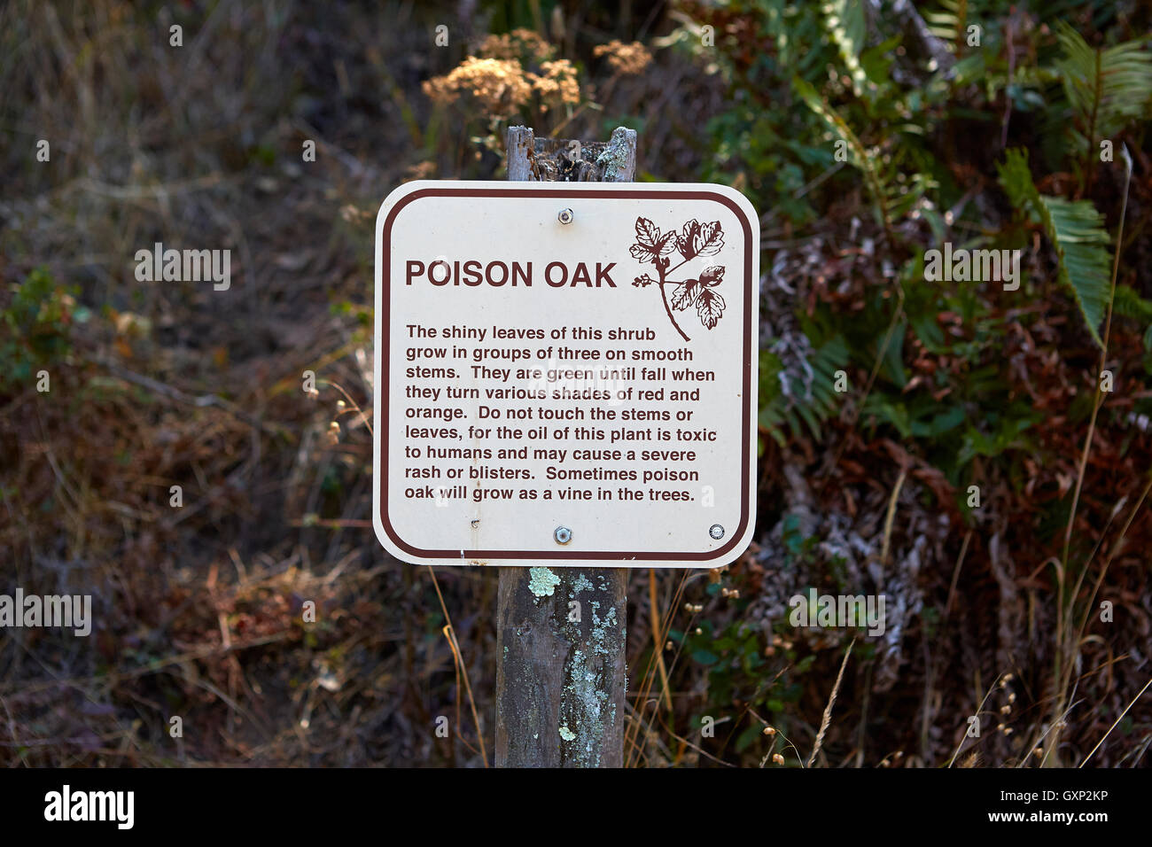 Danger poison oak sign hi-res stock photography and images - Alamy