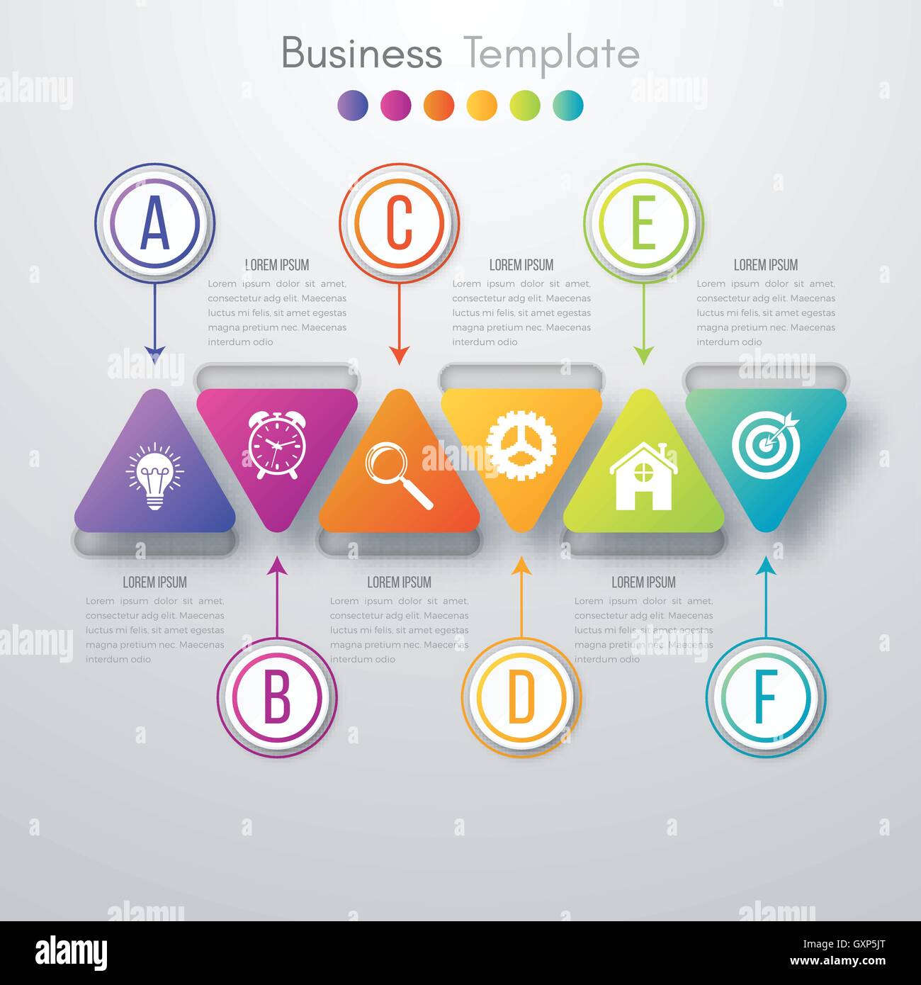 Vector illustration infographic Stock Vector Image & Art - Alamy