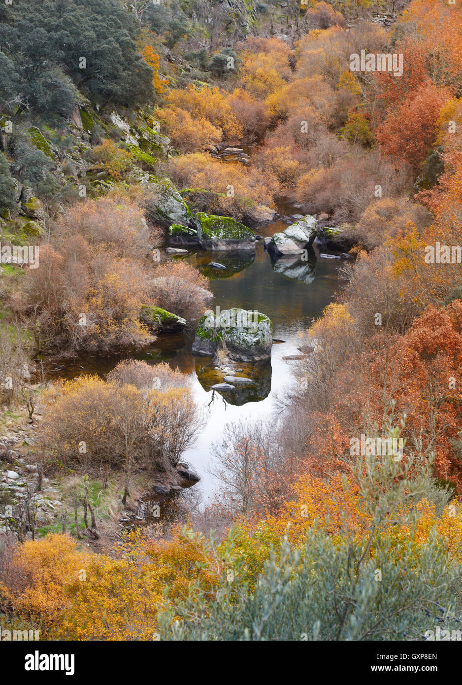 Landscape with forest and lake in autumn time. Spain. Vertical Stock ...
