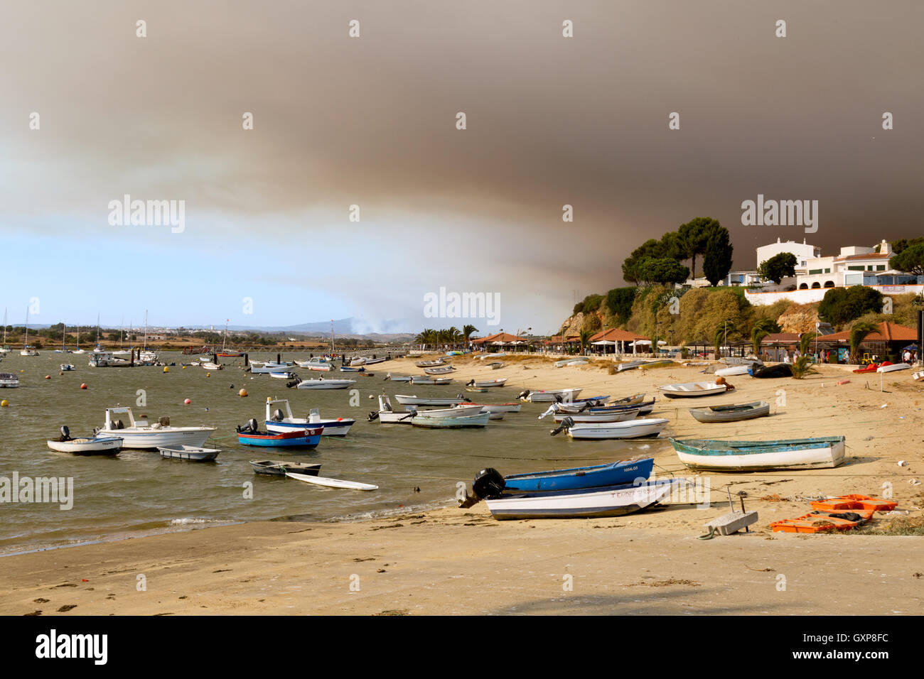 Portugal forest fires hi-res stock photography and images - Alamy