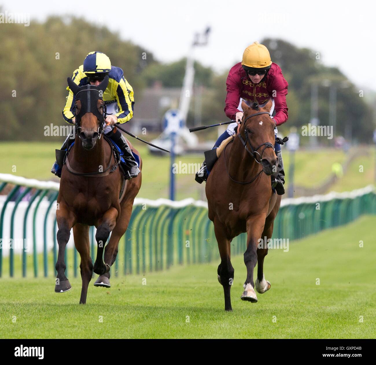 Naval Warfare ridden by Rob Hornby (right) before winning The Al ...