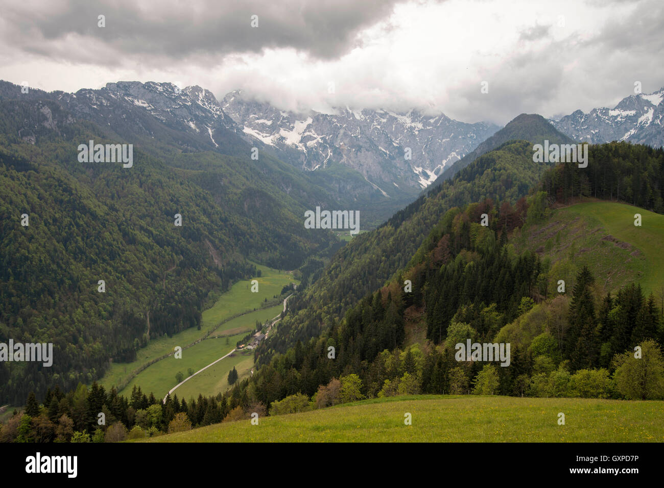 Alpine world hi-res stock photography and images - Alamy