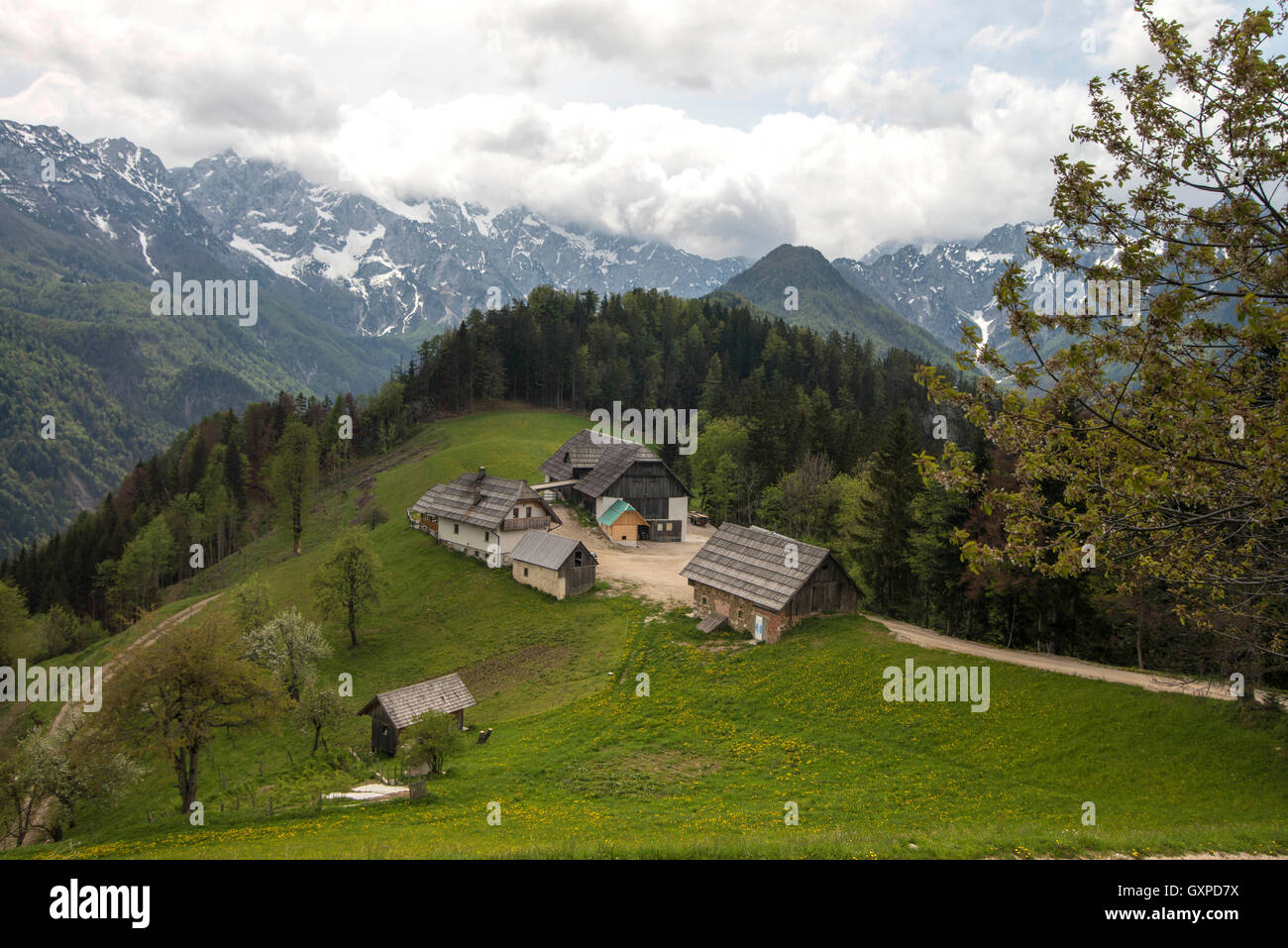 farm in the Alpine world Stock Photo - Alamy
