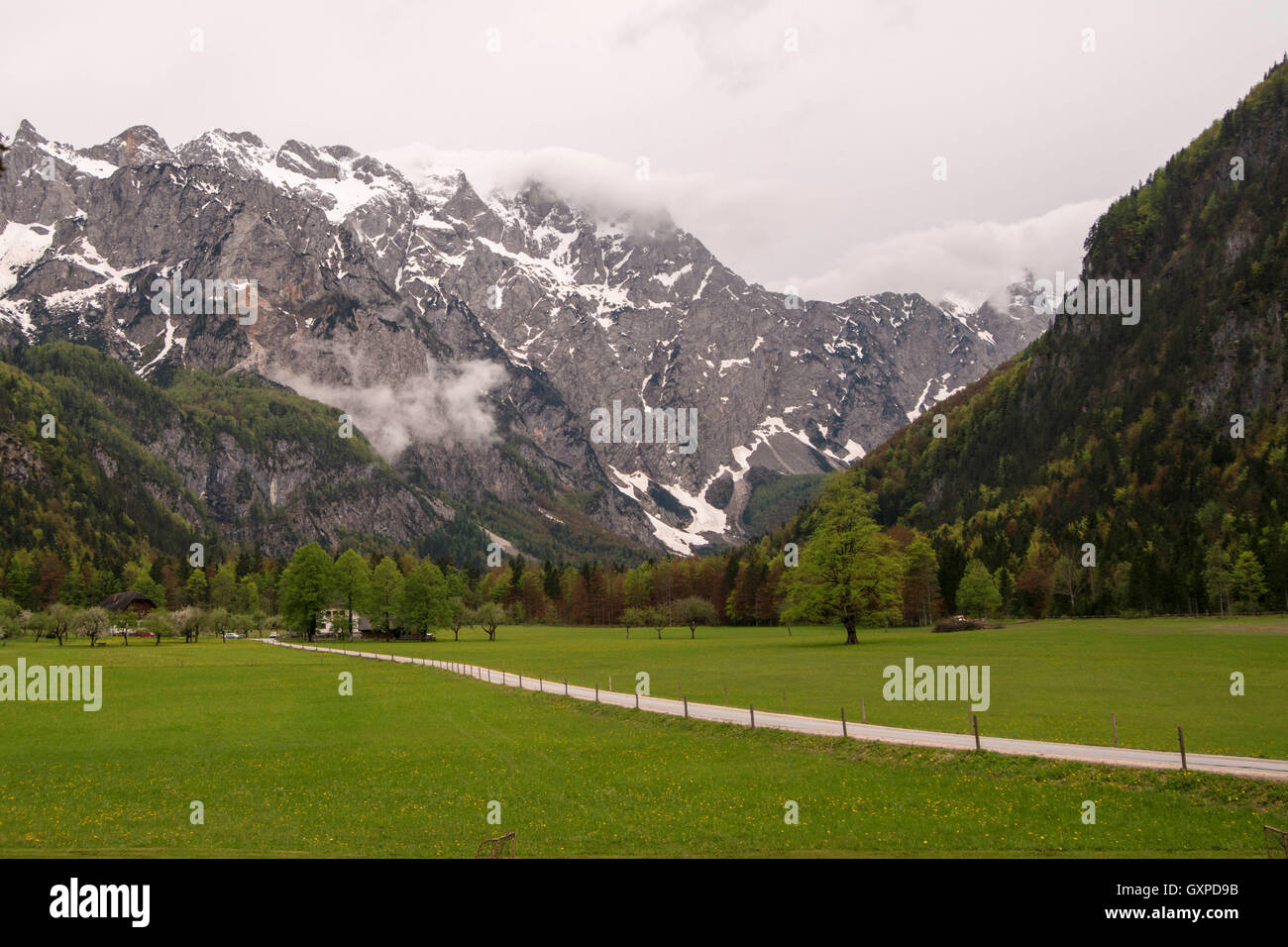 Logar valley Alps Stock Photo - Alamy