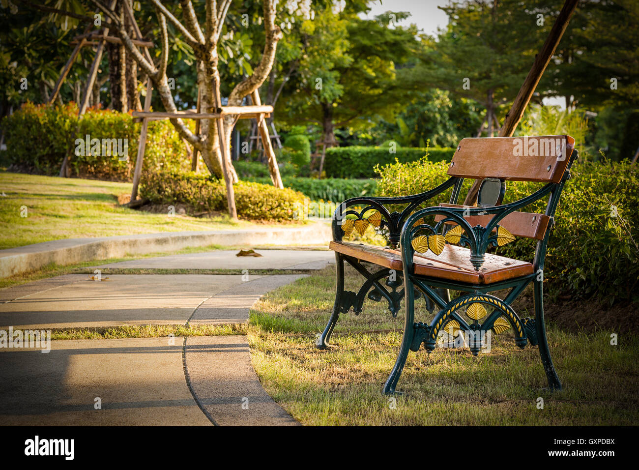 Wooden bench in park in evening at sunset Stock Photo - Alamy