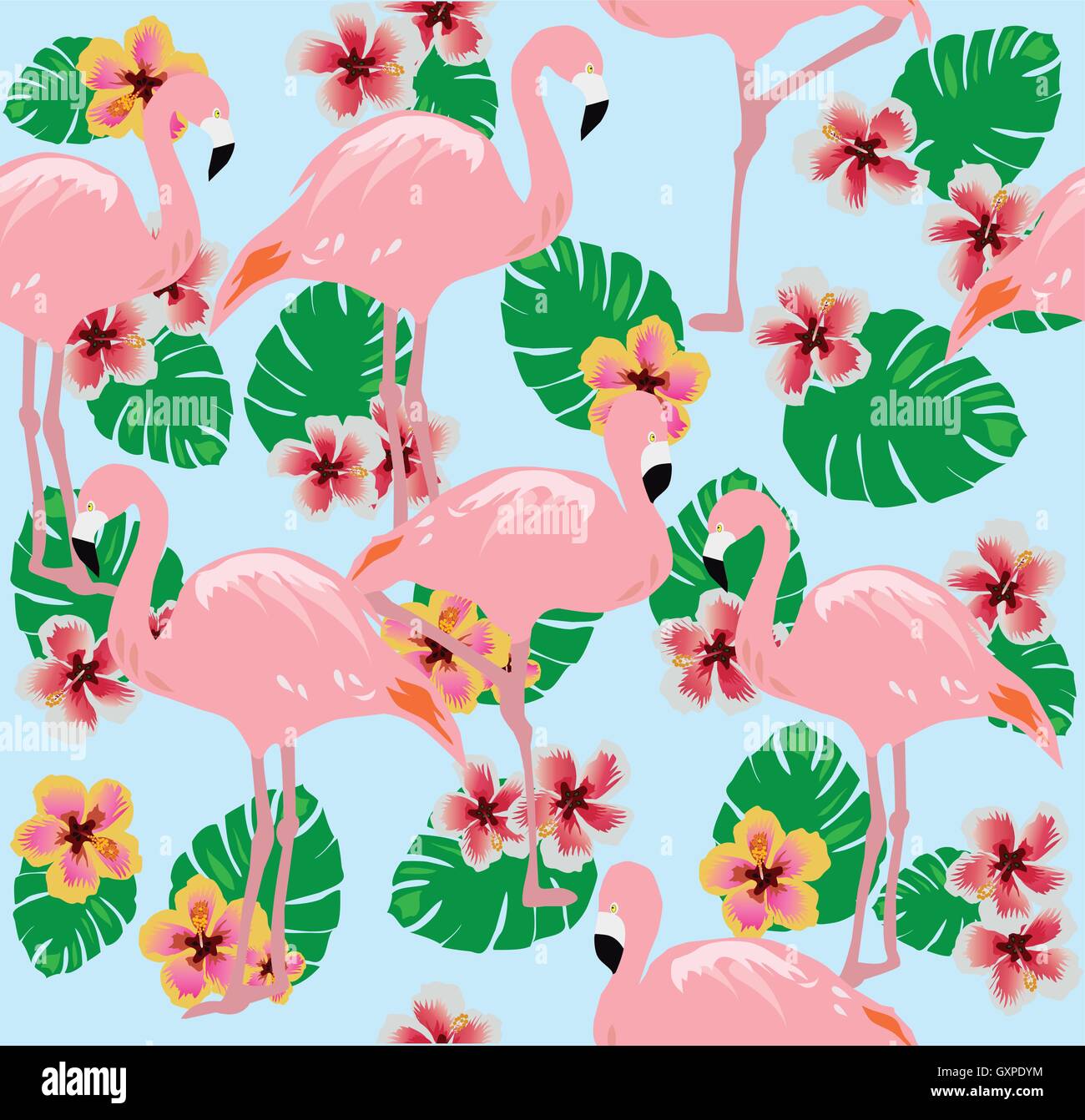 Vector Flamingo Birds Stock Vector Image & Art - Alamy