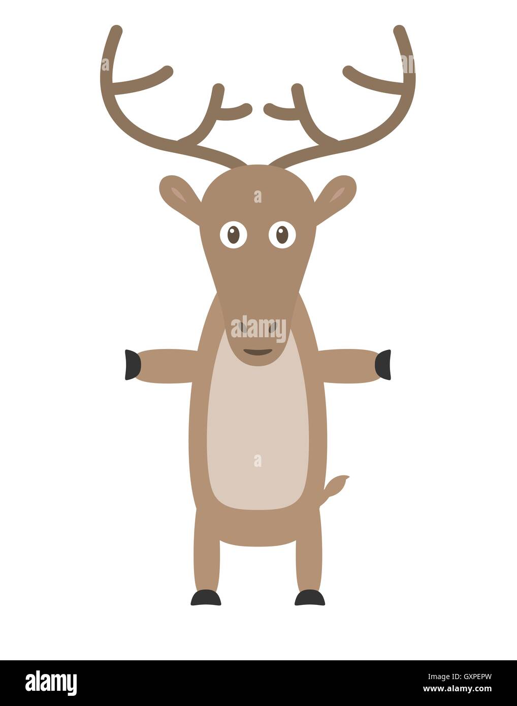 Front view of deer Cut Out Stock Images & Pictures - Alamy