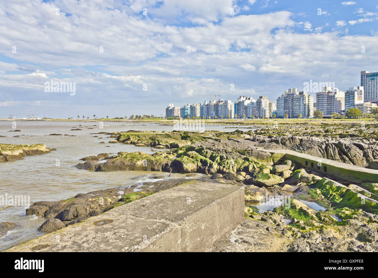 Uruguay montevideo city bay view hi-res stock photography and images ...
