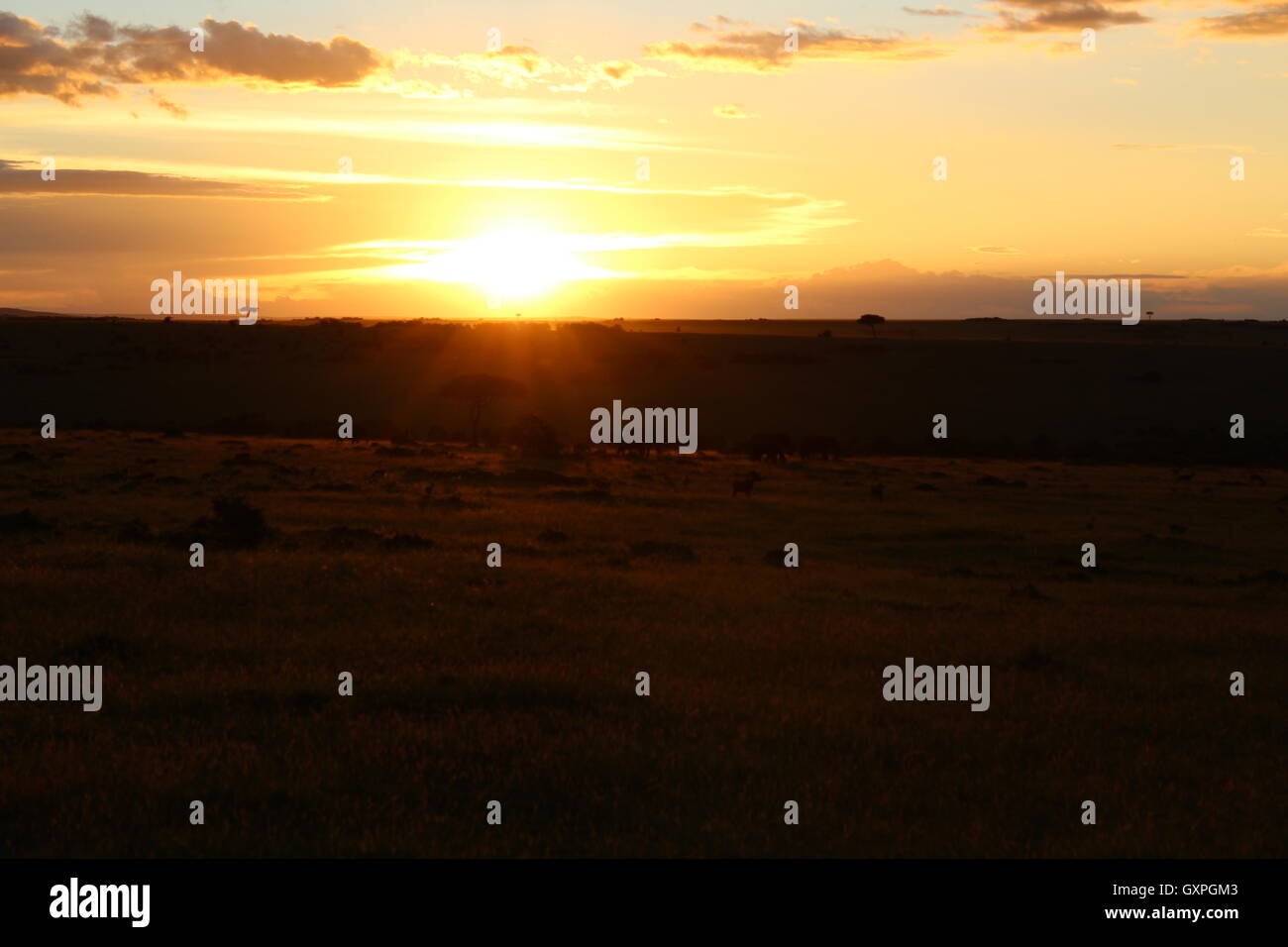 Kenyan sunrise hi-res stock photography and images - Alamy