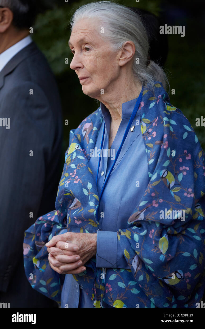 New York, United States. 16th Sep, 2016. UN peace bell ceremony on the ...