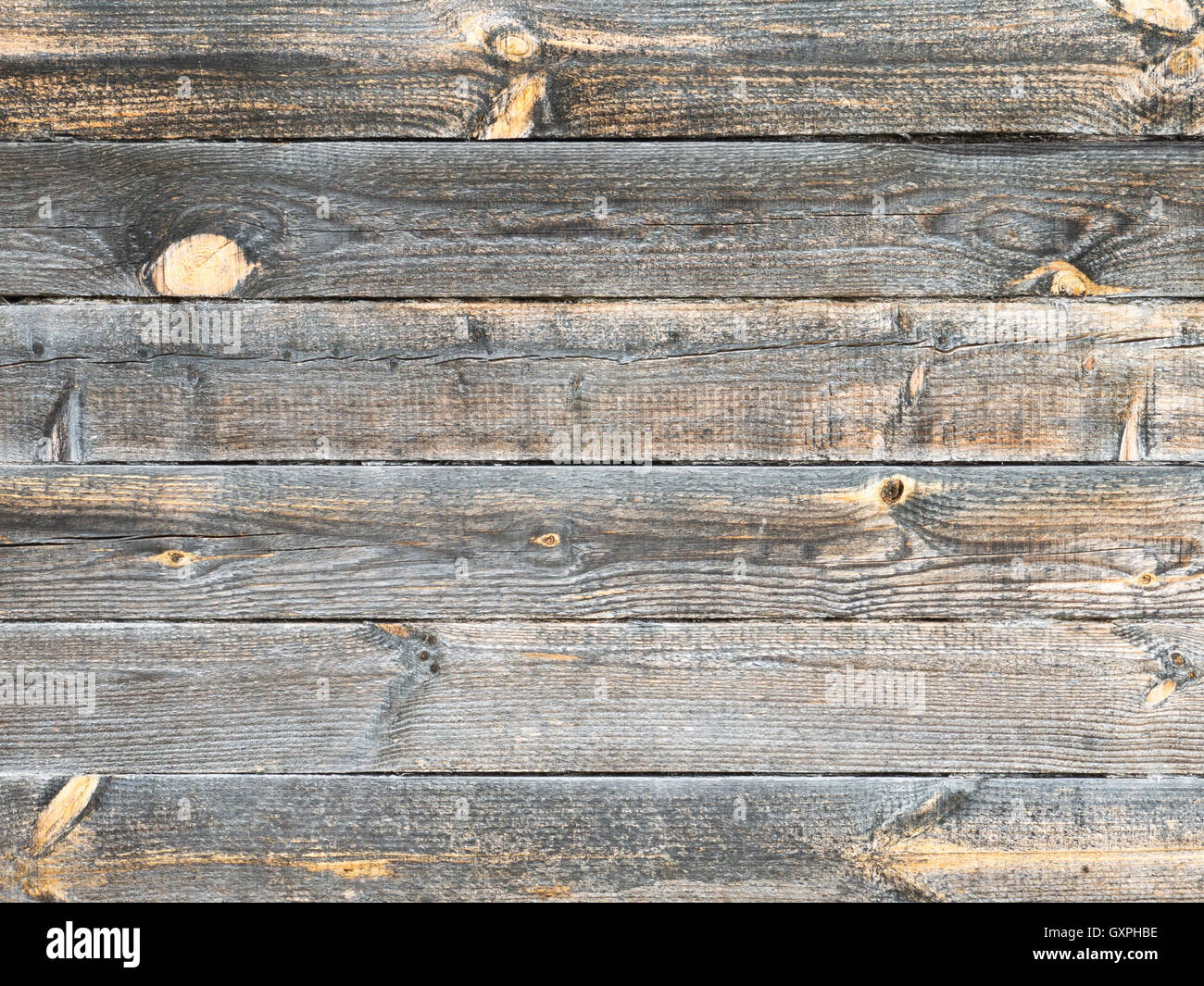 Old pine weathered logs with bright knots Stock Photo - Alamy