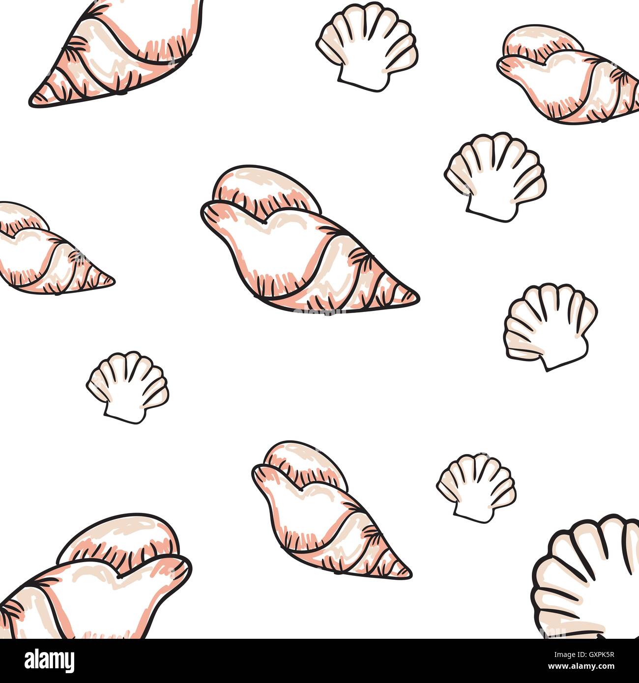 sea shell background Stock Vector Image & Art - Alamy