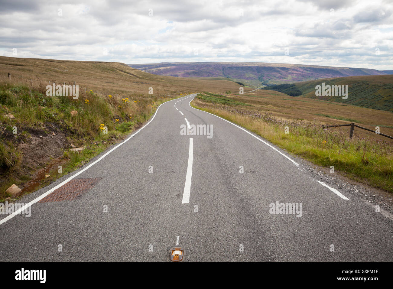 A centered road without cars rolling into the horizon with moorland on ...