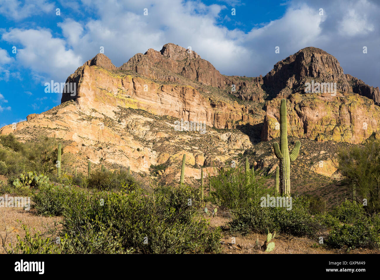 Picketpost mountain hi-res stock photography and images - Alamy