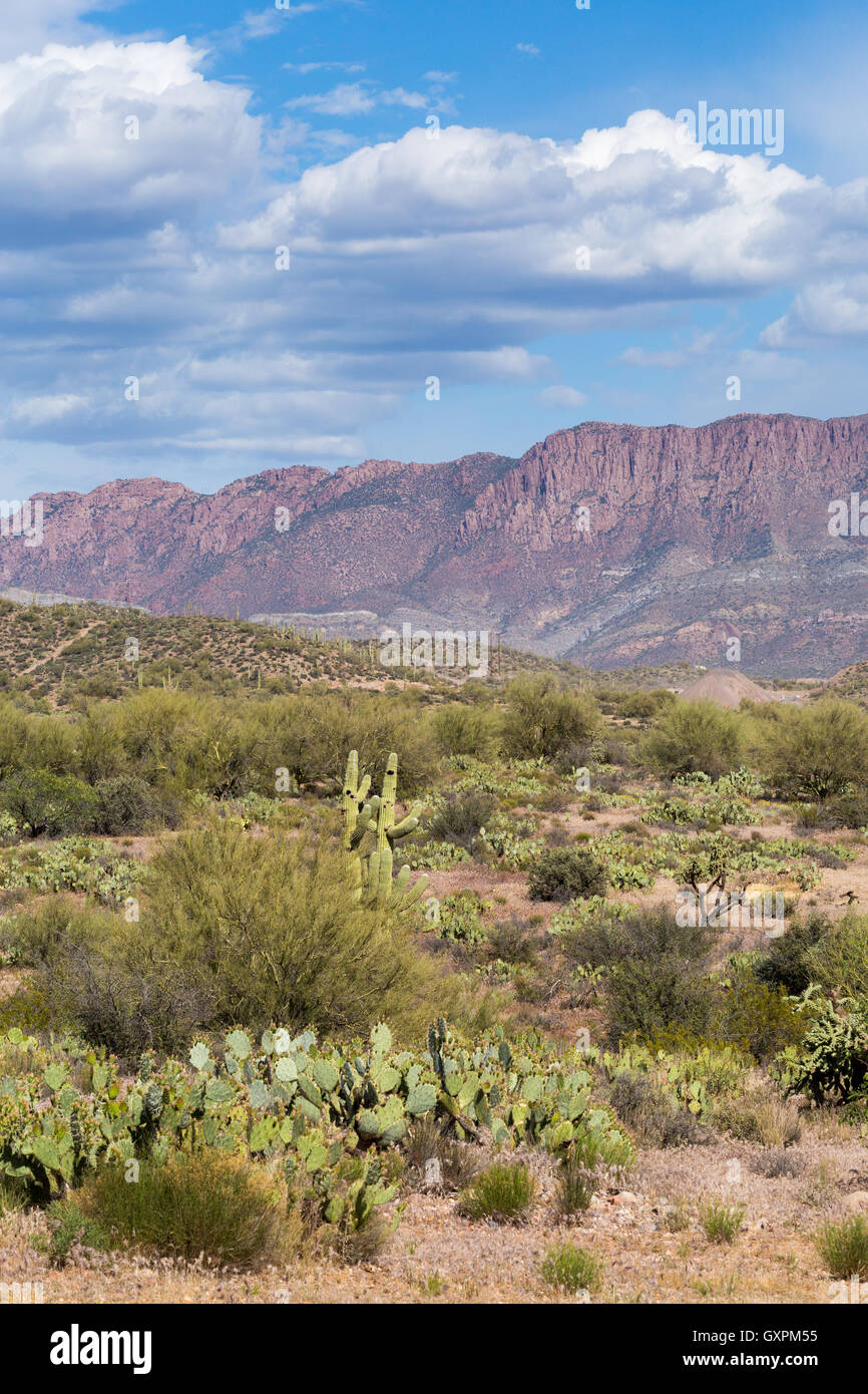 Apache leap formation hi-res stock photography and images - Alamy