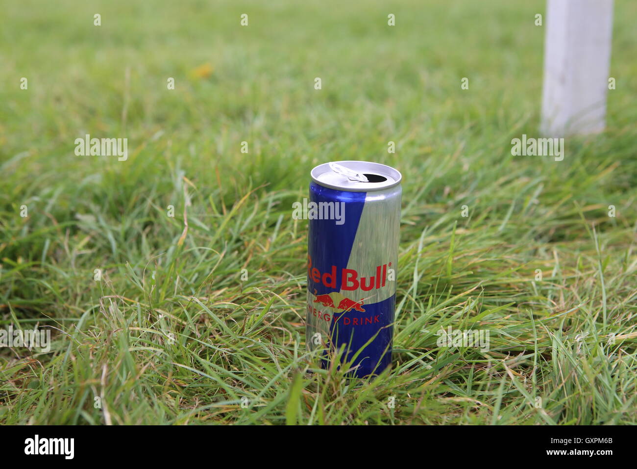 Empty red bull hi-res stock photography and images - Alamy