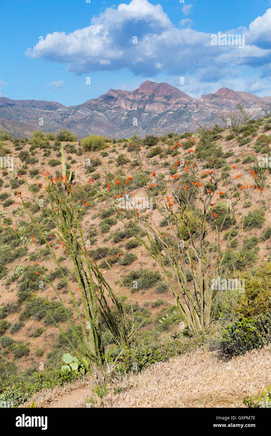 Apache leap formation hi-res stock photography and images - Alamy