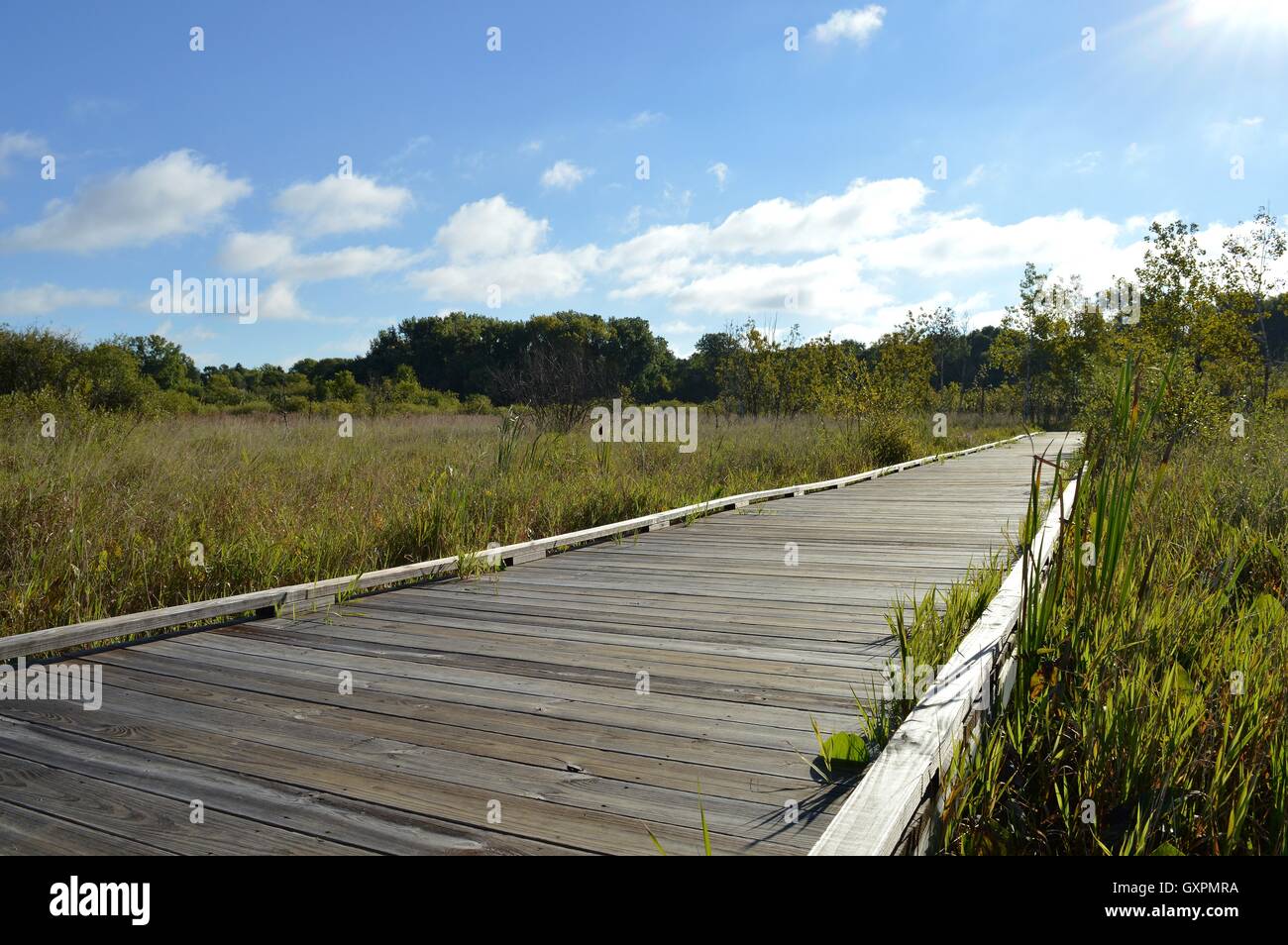 Boardwalk in the Wetland Stock Photo - Alamy